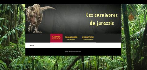 TUTO J apprends à programmer en PHP Niveau sur Tuto com