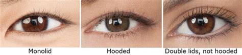 Do You Have Monolid Eyes Our Tips Will Help You Out