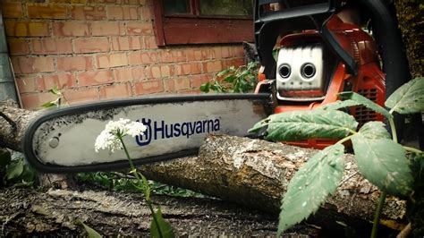 Обзор Бензопилы Husqvarna 135 - YouTube