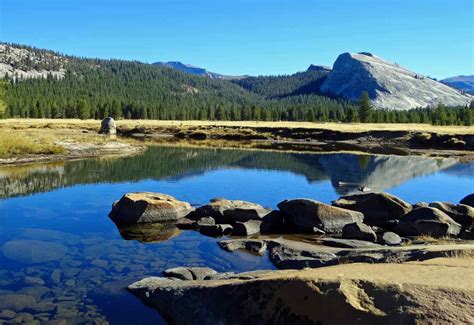 Meadows Yosemite At Paige Cremean Blog