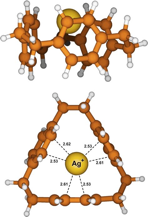 Two Projections Of The Dft Optimized Structure Of The [ag C24h24