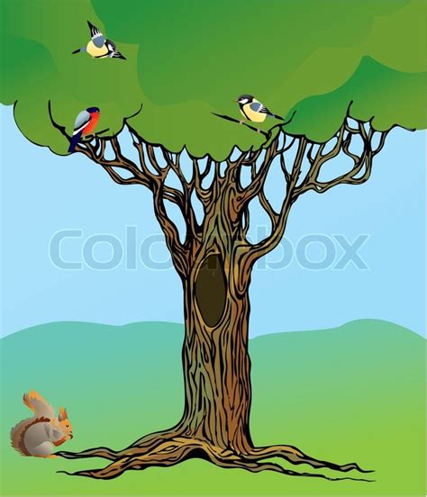 Squirrel In Tree Drawing At GetDrawings Free Download