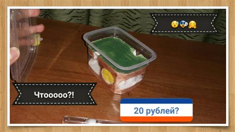 Формикарий своими руками за 20 рублей.РАСХОДЫ В ОПИСАНИИ! - YouTube