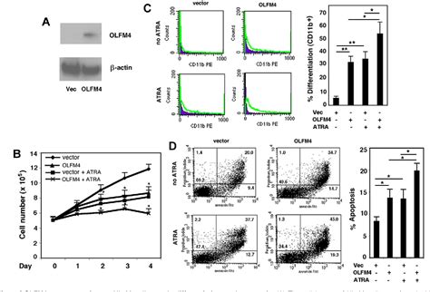 Figure 1 From Olfactomedin 4 Is A Novel Target Gene Of Retinoic Acids