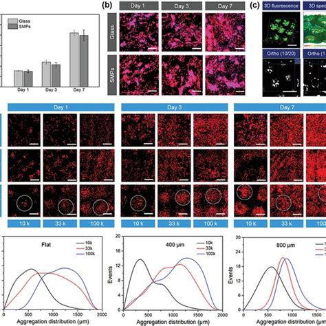 Shape Memory Properties Of The Synthesized Polymeric Materials A