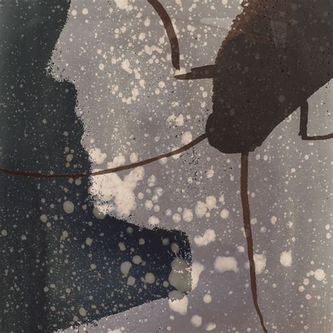 Metamorphosis By Franz Kafka Q A With The Illustrator