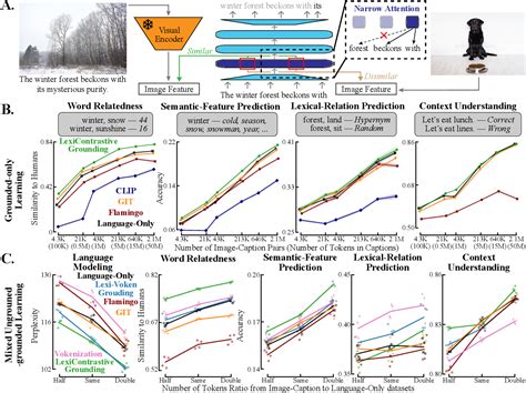 lexicon level contrastive visual grounding improves language modeling