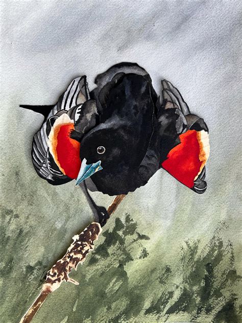 Red Winged Blackbird Rwatercolor