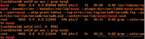 使用mariadb数据库管理系统 logbook怪的博客 csdn博客