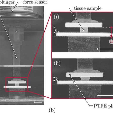 experimental setup for a axial tension b axial compression and