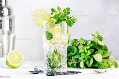 회색 배경에 하이볼 유리에 라임 화이트 럼 소다 사탕수수 설탕 민트 얼음을 곁들인 모히토 여름 알코올 칵테일 음료 강철 막대 도구 복사 공간 Gin Tonic에 대한 스톡
