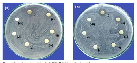 Figure 11 From Core Shell Fe3o4 Sio2 Tio2 Magnetic Modified Ag For The Photocatalytic