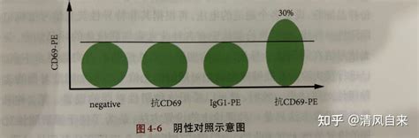 流式细胞术原理、应用及分析整理——（对照设置） 知乎