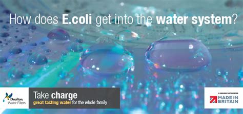 E Coli And Drinking Water Can A Water Filter Help Doulton Water Filters Limited