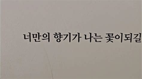 💐 우린 모두 꽃 💐 Youtube