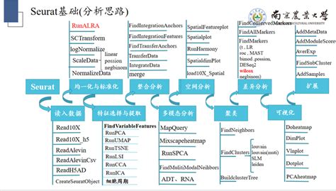 单细胞数据基础分析之seurat篇 知乎