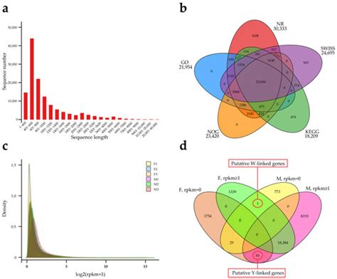 The First Identification Of Homomorphic Xy Sex Chromosomes By