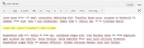 How To Write Code In Wordpress Posts Using The Classic Text Editor