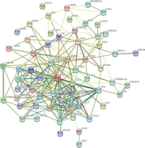 Protein Protein Interaction Ppi Network A The Ppi Network Download Scientific Diagram