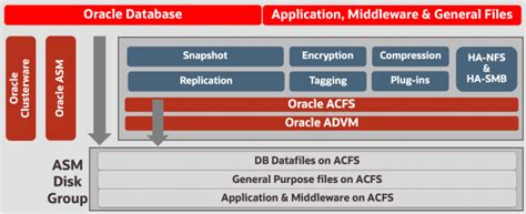 Automatic Storage Management Cluster File System Acfs Rakdba