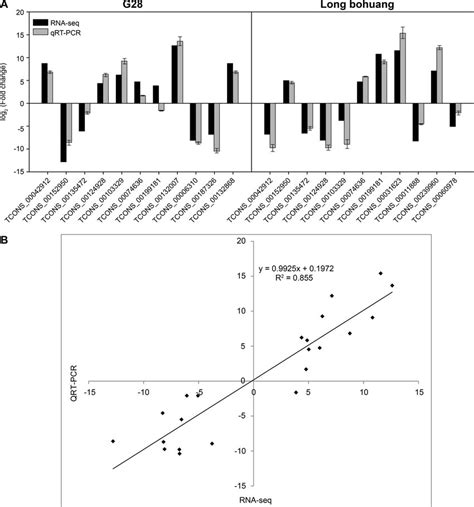validation of long non coding rnas expression patterns obtained by rna