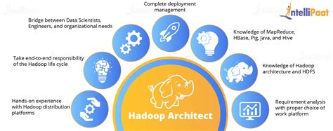 Big Data Hadoop Professionals Job Responsibilities And Skills Intellipaat