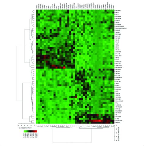 heat map obtained by cluster analysis from microarray based mrna