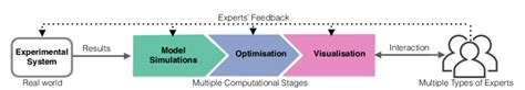 The Proposed Model Exploration Framework Multiple Experts Interact