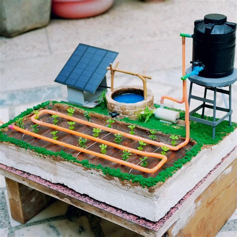 Drip Irrigation Working Model Artofit