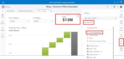 Using Common Filters In Sas Visual Analytics Sas Users