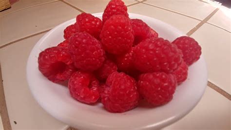 Raspberry Small Ezpz Cooking