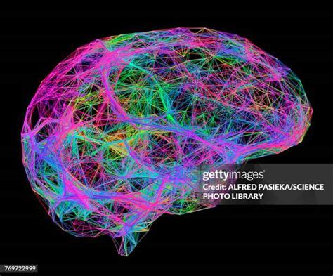 Neural Pathway Photos and Premium High Res Pictures - Getty Images
