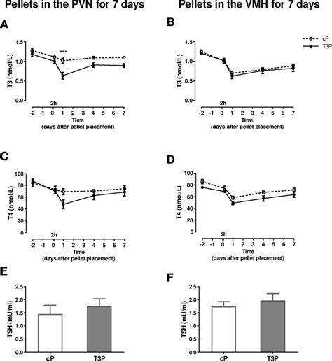 Figure 1 From Hypothalamic Regulation Of Metabolism Semantic Scholar