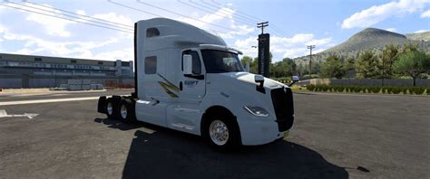 International Swift Skin