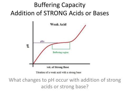 Buffer Capacity