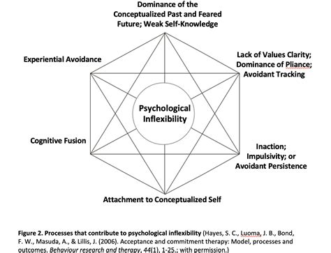 Hexaflex The Act Model Of Psychological Flexibility Acceptance And