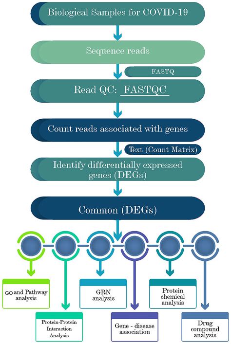 Frontiers Differential Gene Expression Profiling Reveals Potential Biomarkers And