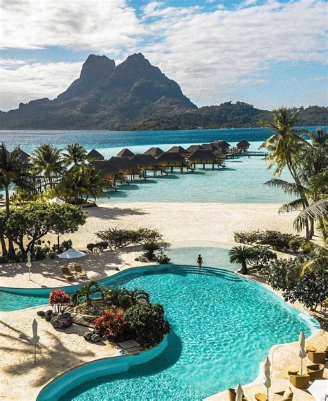 French Polynesian Porn Sex Pictures Pass