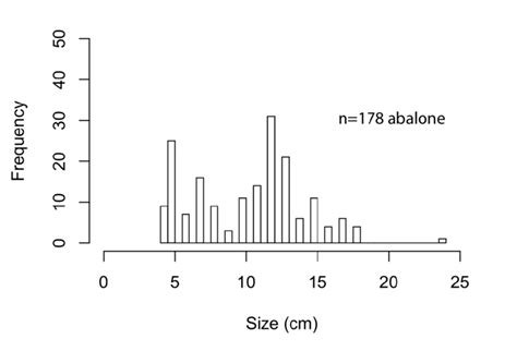 Size Distribution Of Haliotis Kamtschatkana Assimilis Sorenseni Found Download Scientific