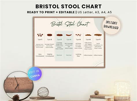 Vers Bristol Stool Chart Printable