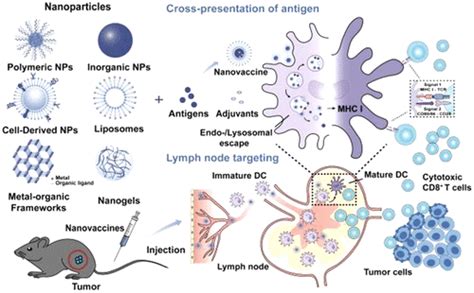 Nanotechnology Based Approaches To Promote Lymph Node Targeted Delivery