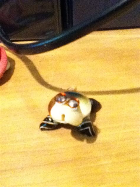 Turtle Made Out Of Shell S Making Out Turtle Shells