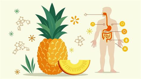 Bromelain Benefits Uses Dosage And Side Effects Complete Guide Blog