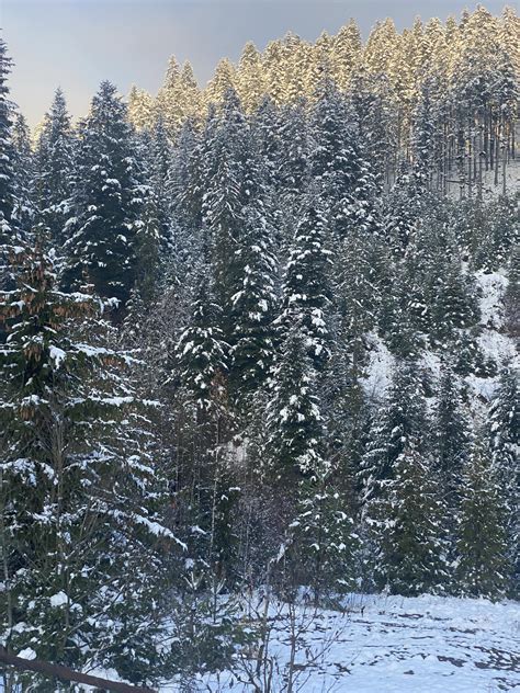 Женская одежда больших размеров от 48 по 74 Интернет магазин Added A New Женская одежда