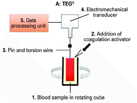 Working Principle Behind Teg ® Download Scientific Diagram