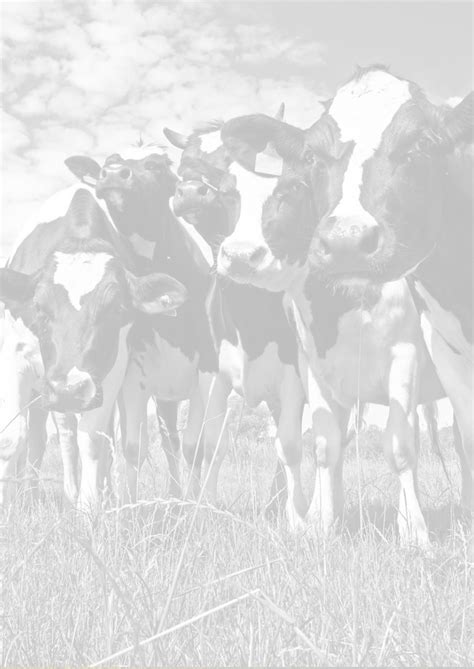 Farms Site Induction Certificate Background Image The Midfield Group Farms Site Induction Certificate Background Image The Midfield Group