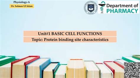 Protein Binding Sites Lecture Physiology Pptx