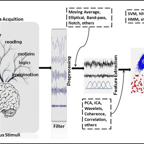 A General Eeg Based Biometric Model Download Scientific Diagram