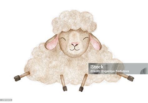 베이지색 양 귀여운 솜털 아기 양이 잠을 자고 꿈을 꾸고 있습니다 고립 된 손으로 그린 어린이 수채화 그림 아동 용품 초대장 엽서 포스터 베이비 샤워 및 어린이 방의 클립