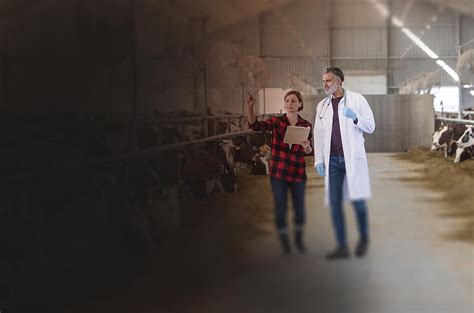 Certificação Cscp Ascm Apics Abai Cursos Brasil